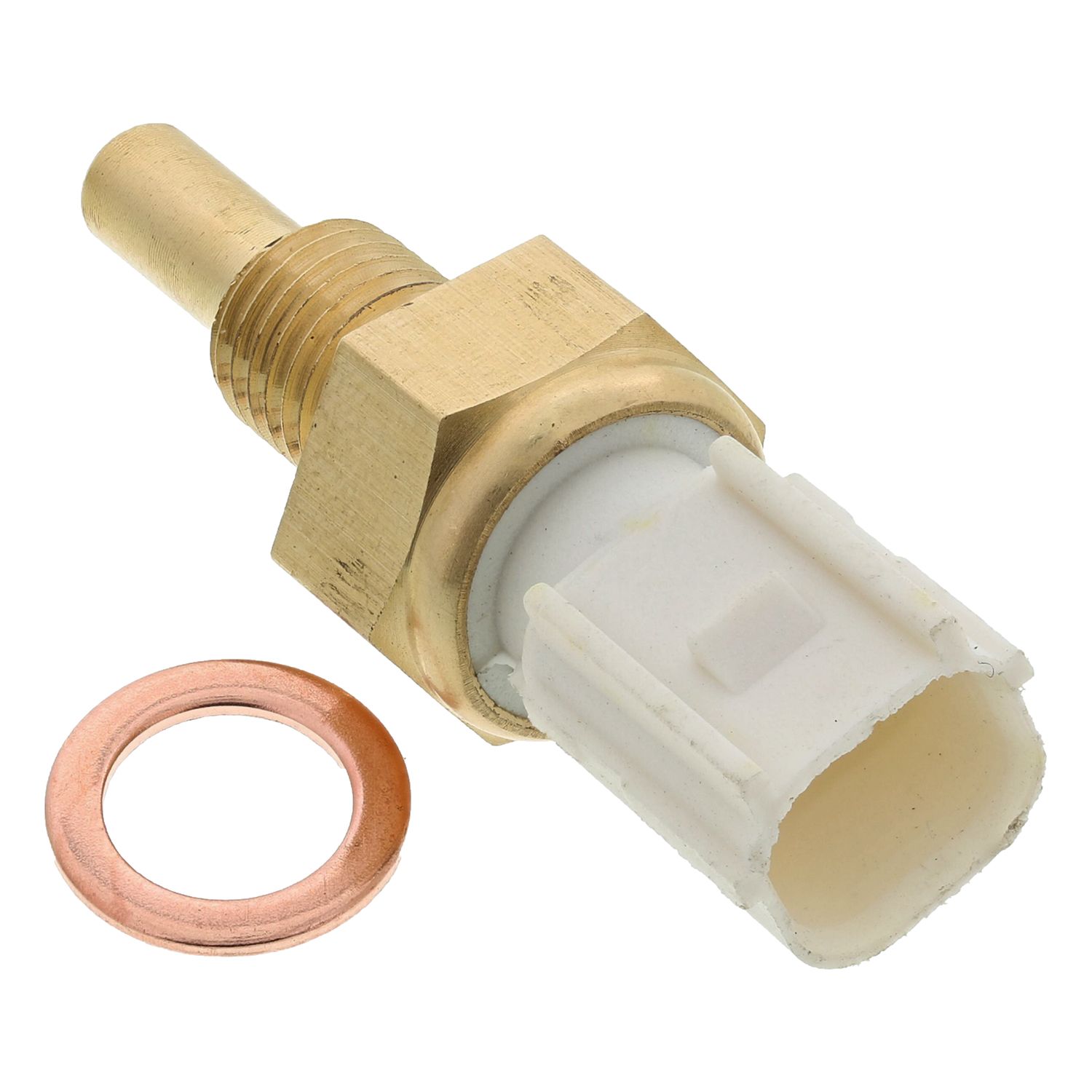 Motorad 1TS1029 Coolant Temperature Sensor with O-Ring 55644927442 | eBay